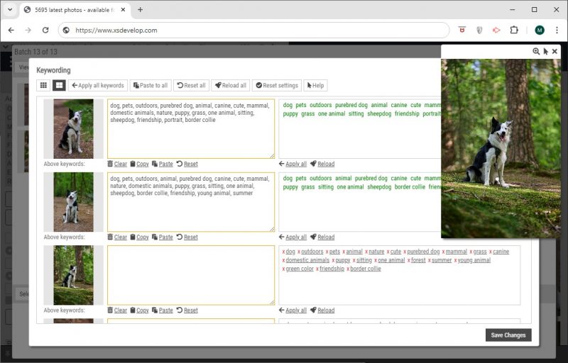 How to disable right-clicking and dragging of images - Infradox
